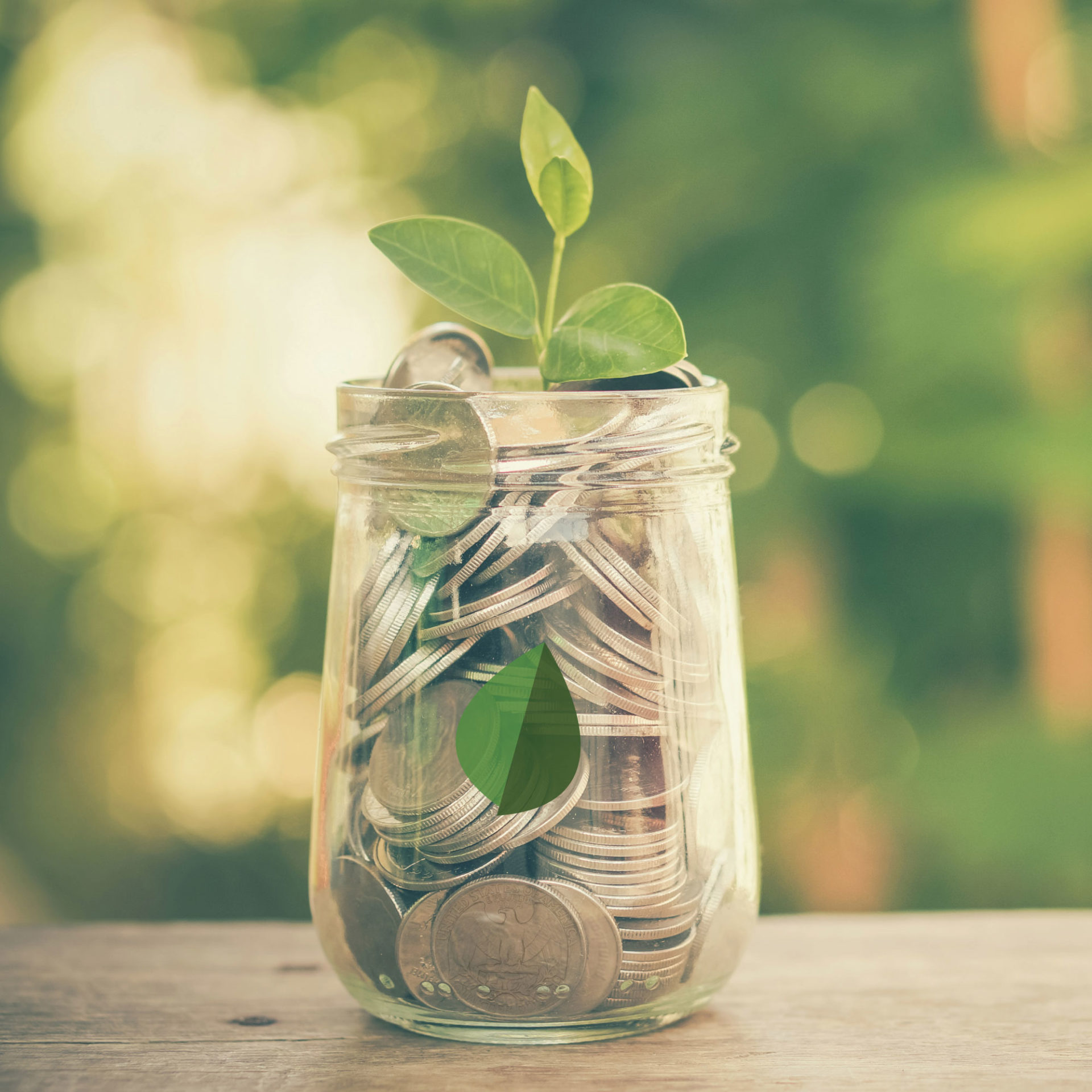 Personal Banking - Fortifi Bank